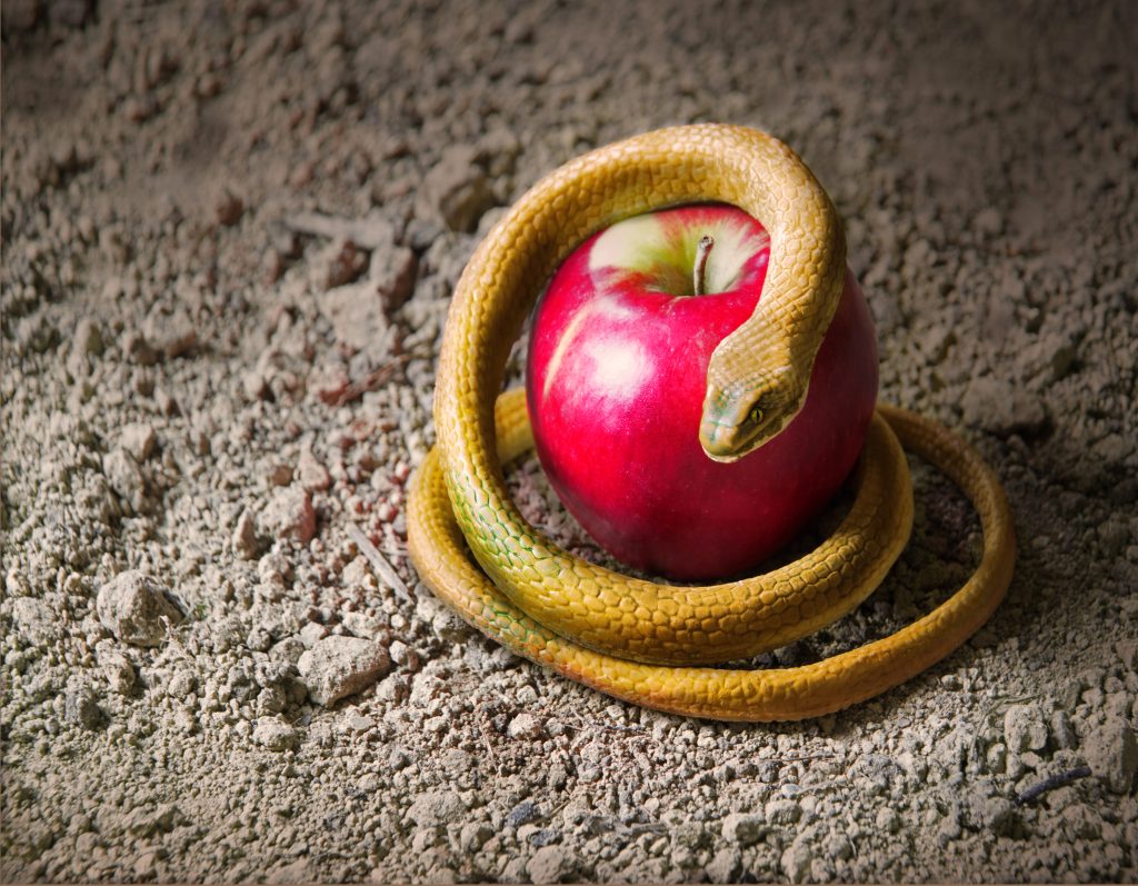 How the Forbidden Fruit Became an Apple: A Quick Dive into Myth and ...