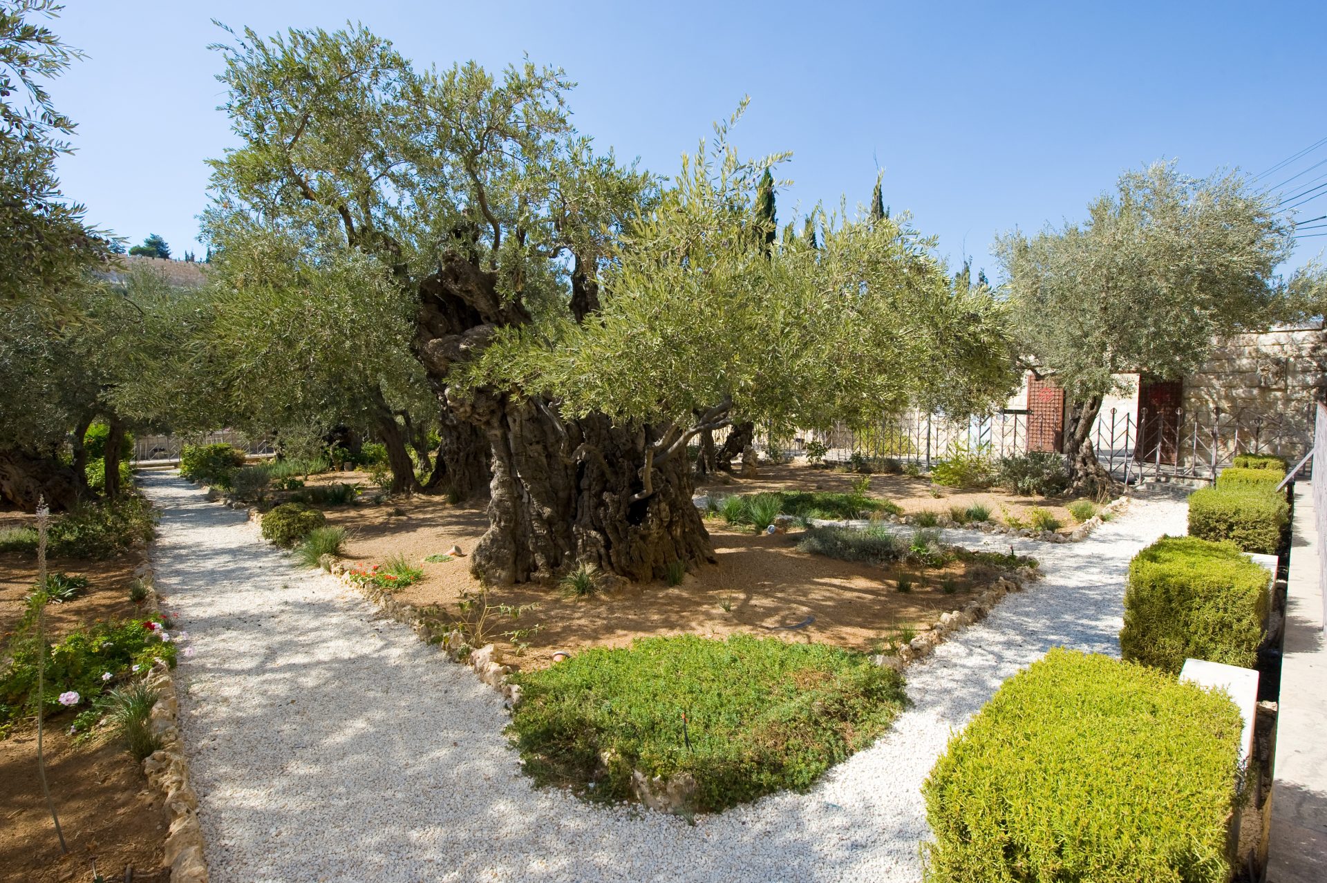 Bible Verses About Gardening: Spiritual Lessons from the Garden – REEP
